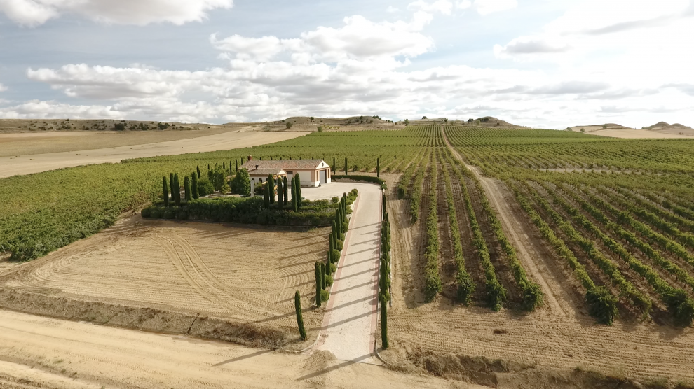 Bodegas Nexus & Frontaura, vinos de alma apasionada a orillas del Duero