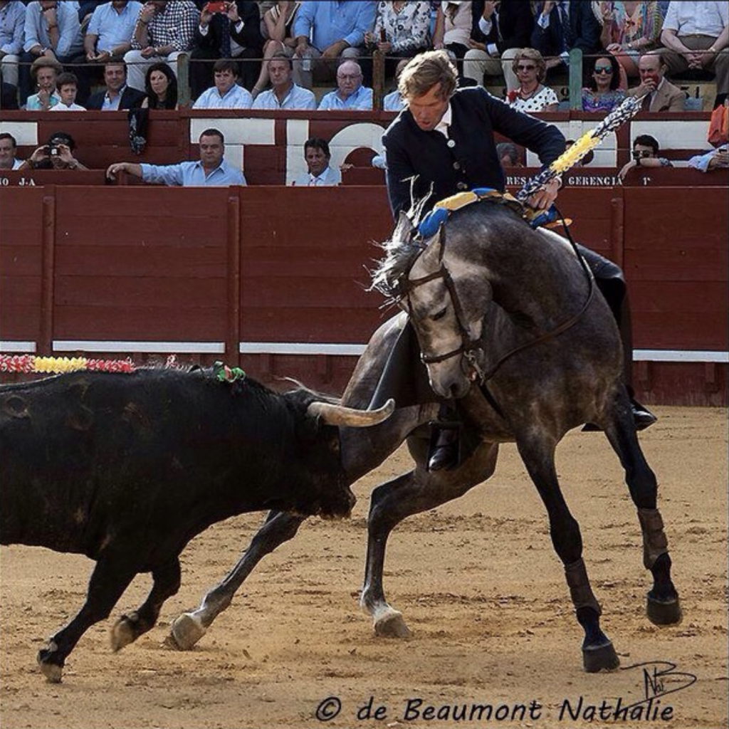 Fermín Bohórquez Domecq: "El toro es mi animal preferido y al que más ...
