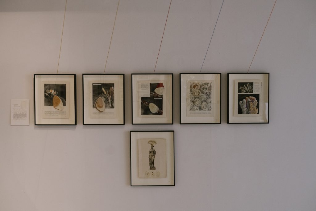 Exposición de la semana: Pils Ferrer inaugura su primera muestra analógica