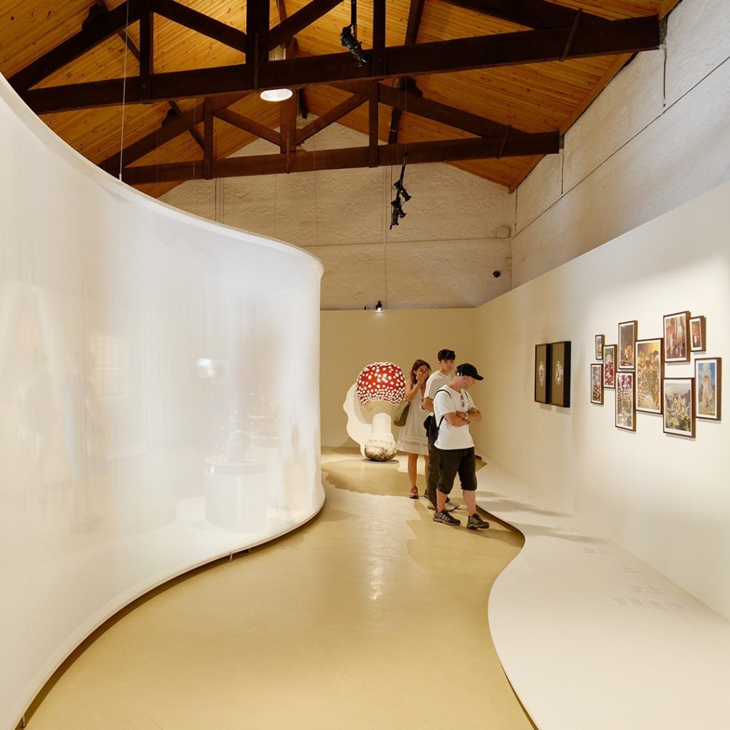 Entramos en la Fundación Serralves de Oporto