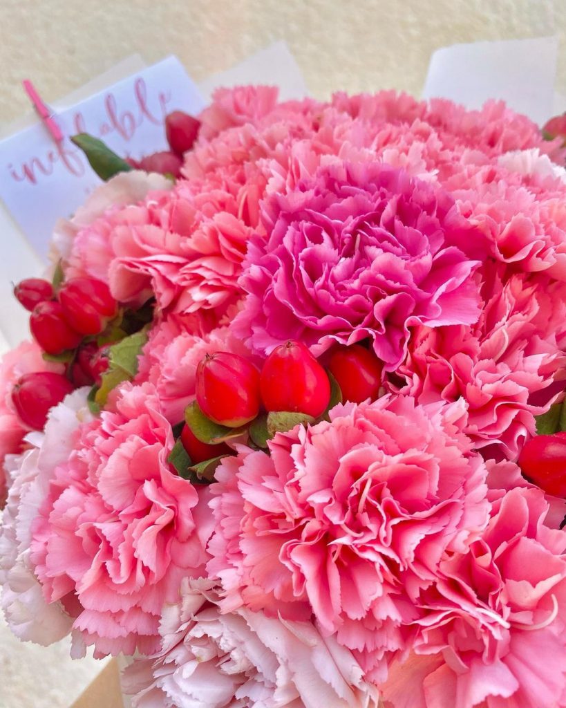 El clavel, flor nacional de nacimiento de enero