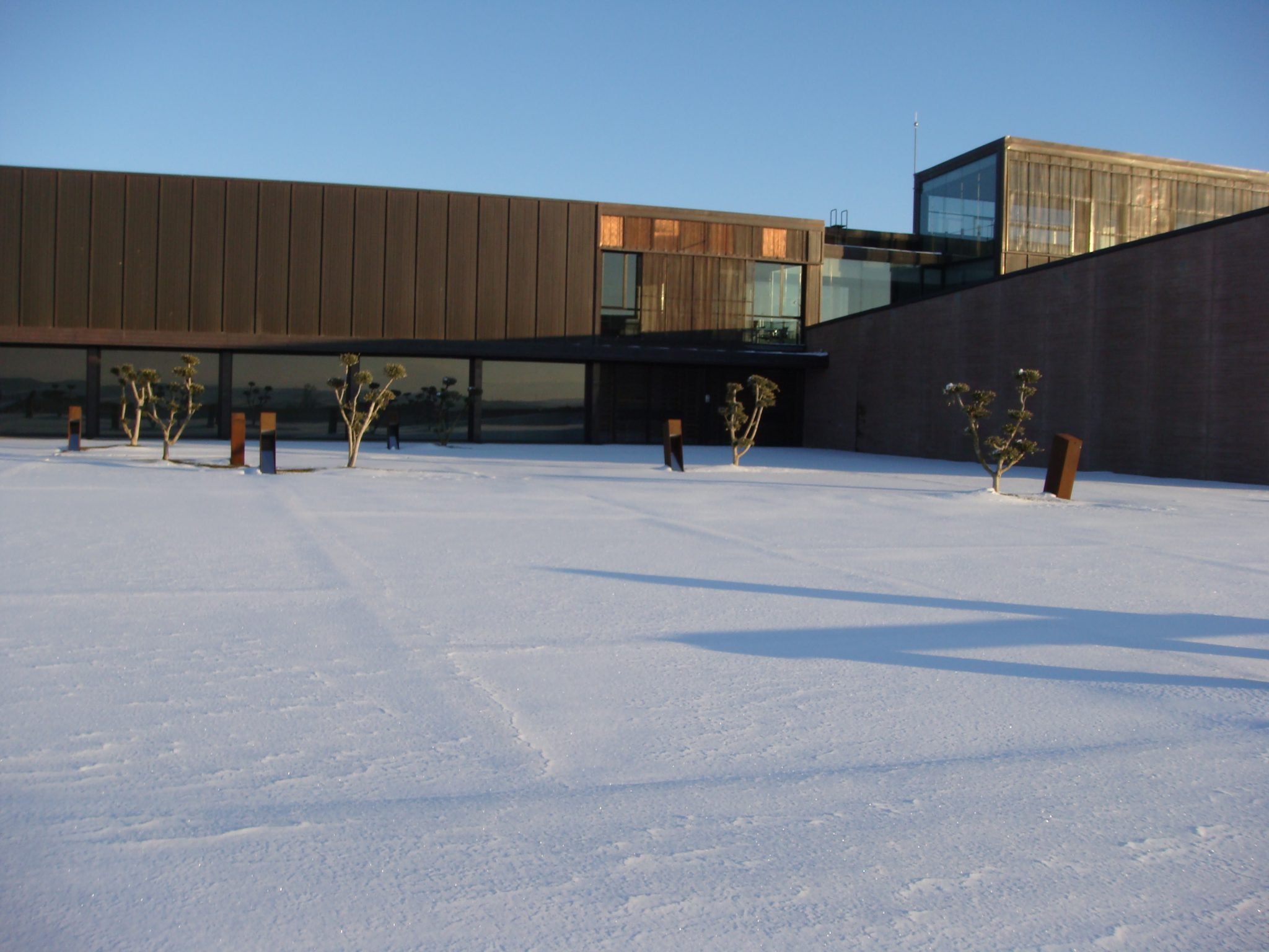 Bodegas Buezo, 23 años en elaborar su primer vino de guarda