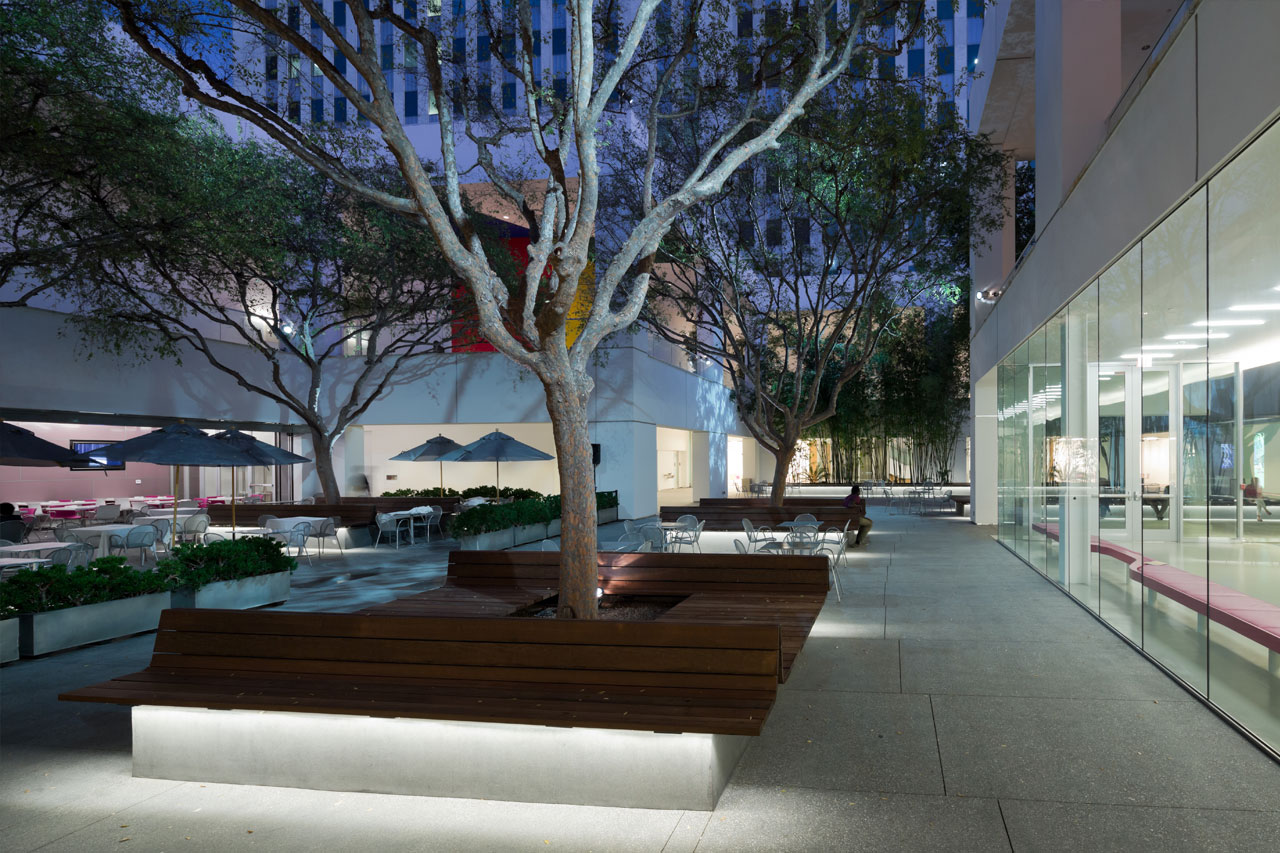 El museo Hammer reabre en Los Ángeles con una imagen renovada