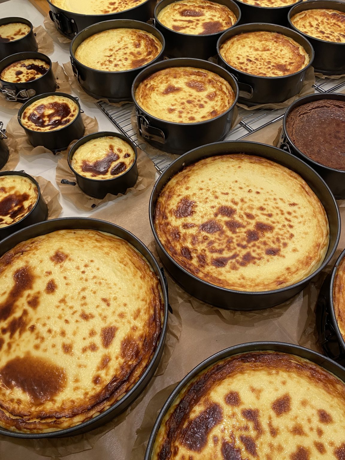 Luna & Wanda, la tarta de queso que gusta a todo el mundo