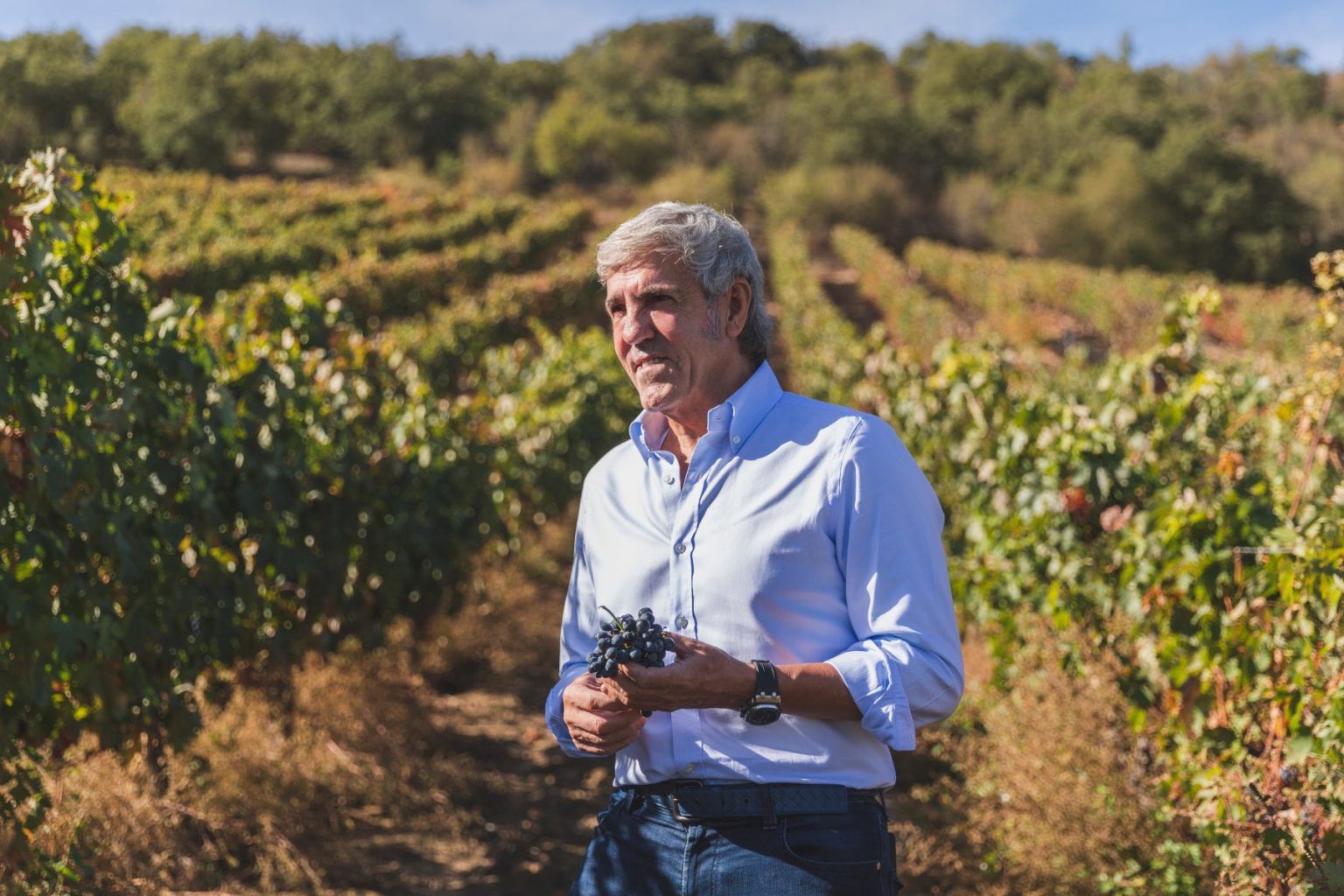 Cepa 21 se pone de largo al cumplir 21 años: hablamos con José Moro