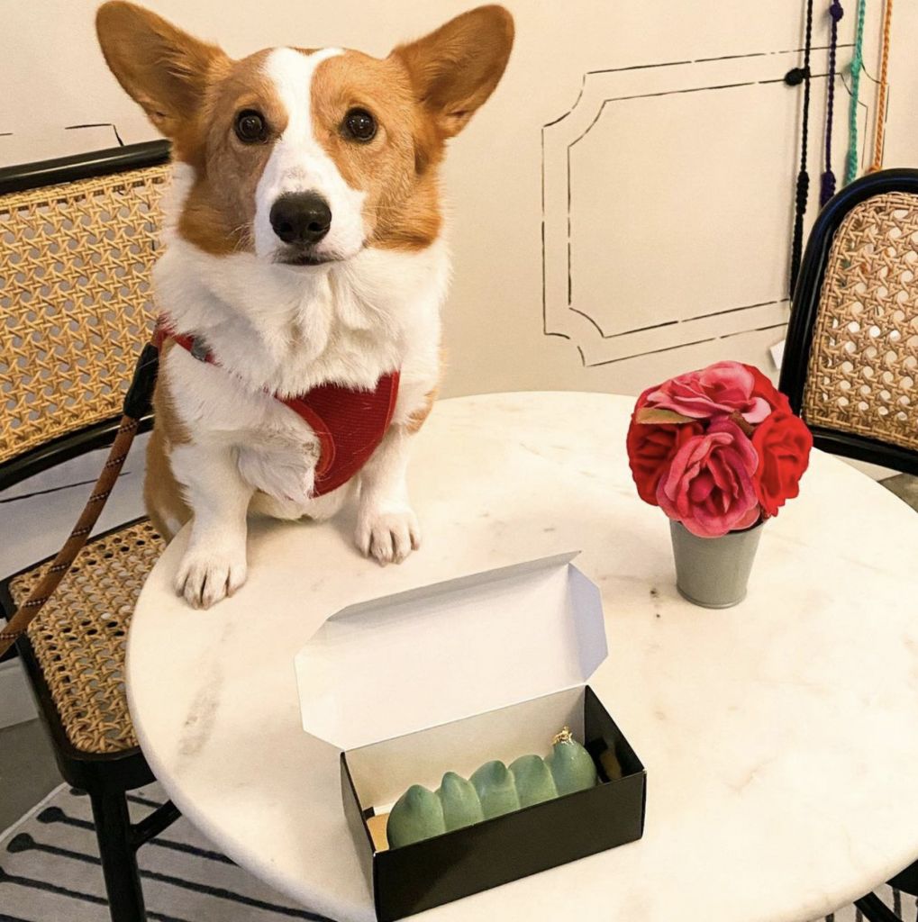 El primer restaurante de alta cocina para perros llega a San Francisco