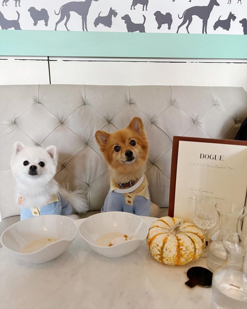 El primer restaurante de alta cocina para perros llega a San Francisco