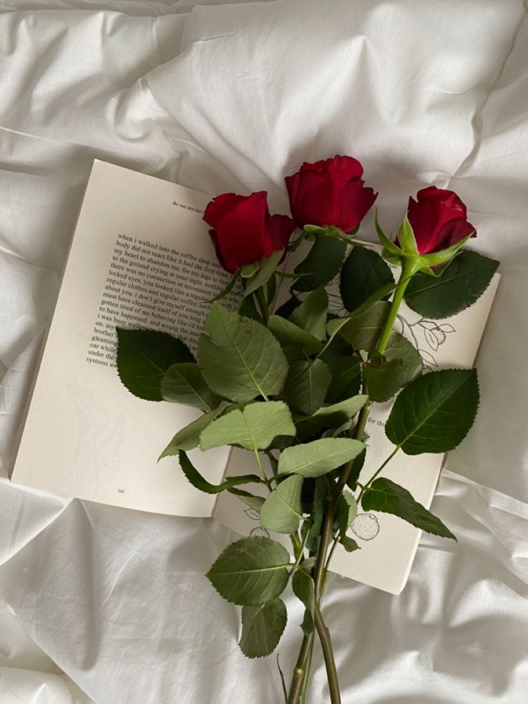 Las rosas, flor de junio, encarnación de la belleza y símbolo del amor