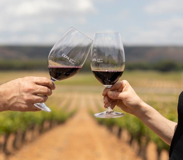 'De la cepa a la copa', vive la vendimia a pie de viña en Bodegas Cepa 21