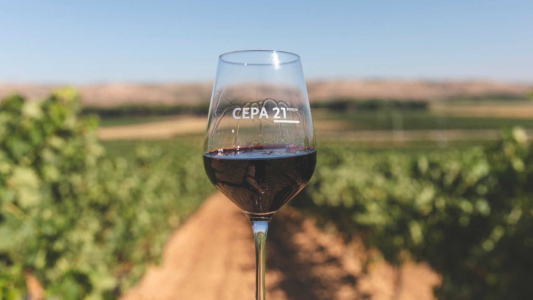 'De la cepa a la copa', vive la vendimia a pie de viña en Bodegas Cepa 21