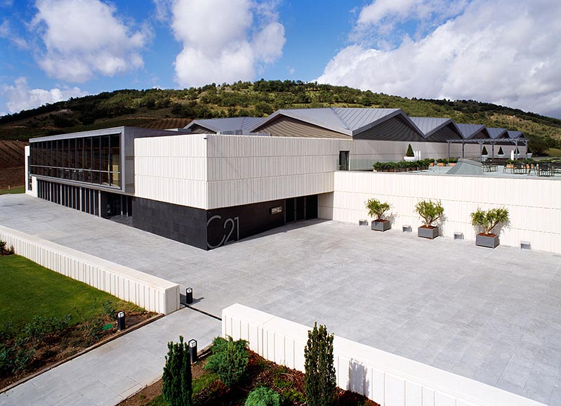 'De la cepa a la copa', vive la vendimia a pie de viña en Bodegas Cepa 21