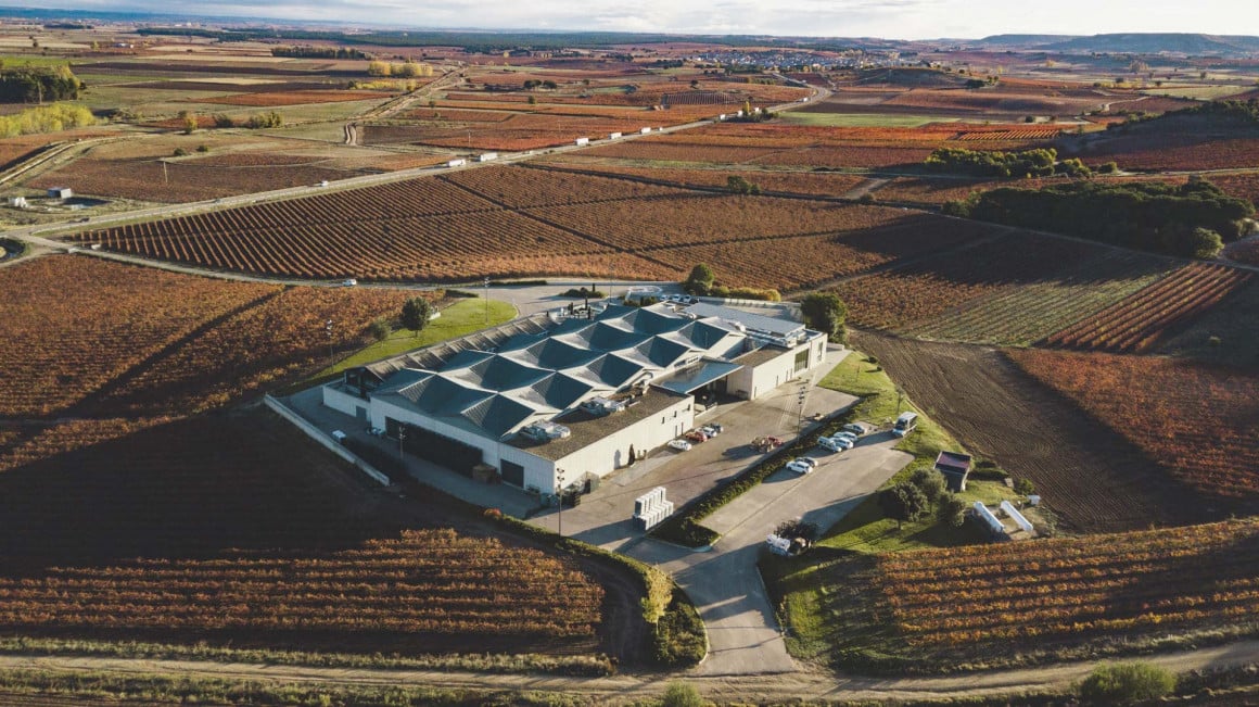 'De la cepa a la copa', vive la vendimia a pie de viña en Bodegas Cepa 21