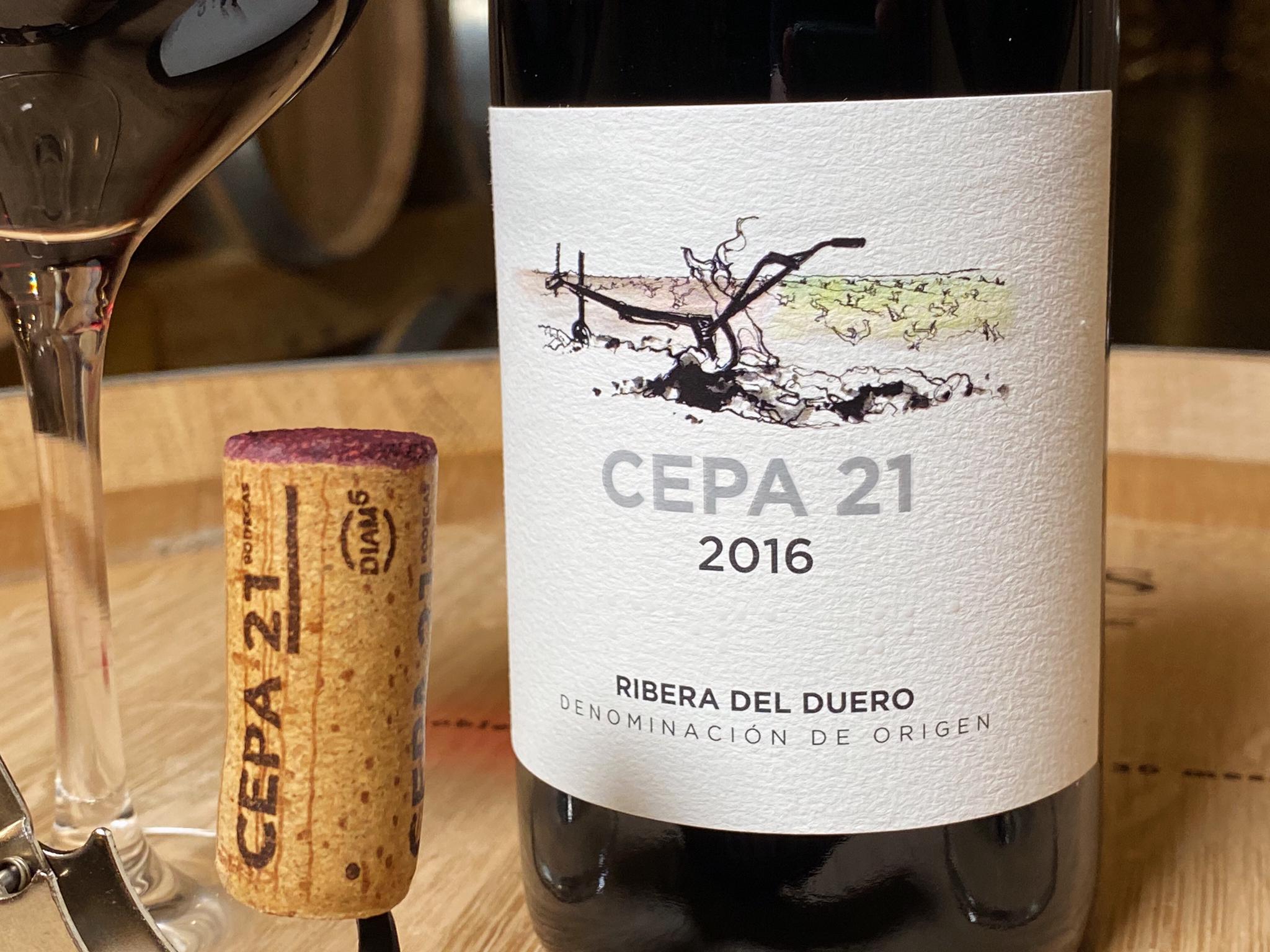 'De la cepa a la copa', vive la vendimia a pie de viña en Bodegas Cepa 21