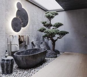 Cinco plantas de interior que utilizan los diseñadores para dar un ...