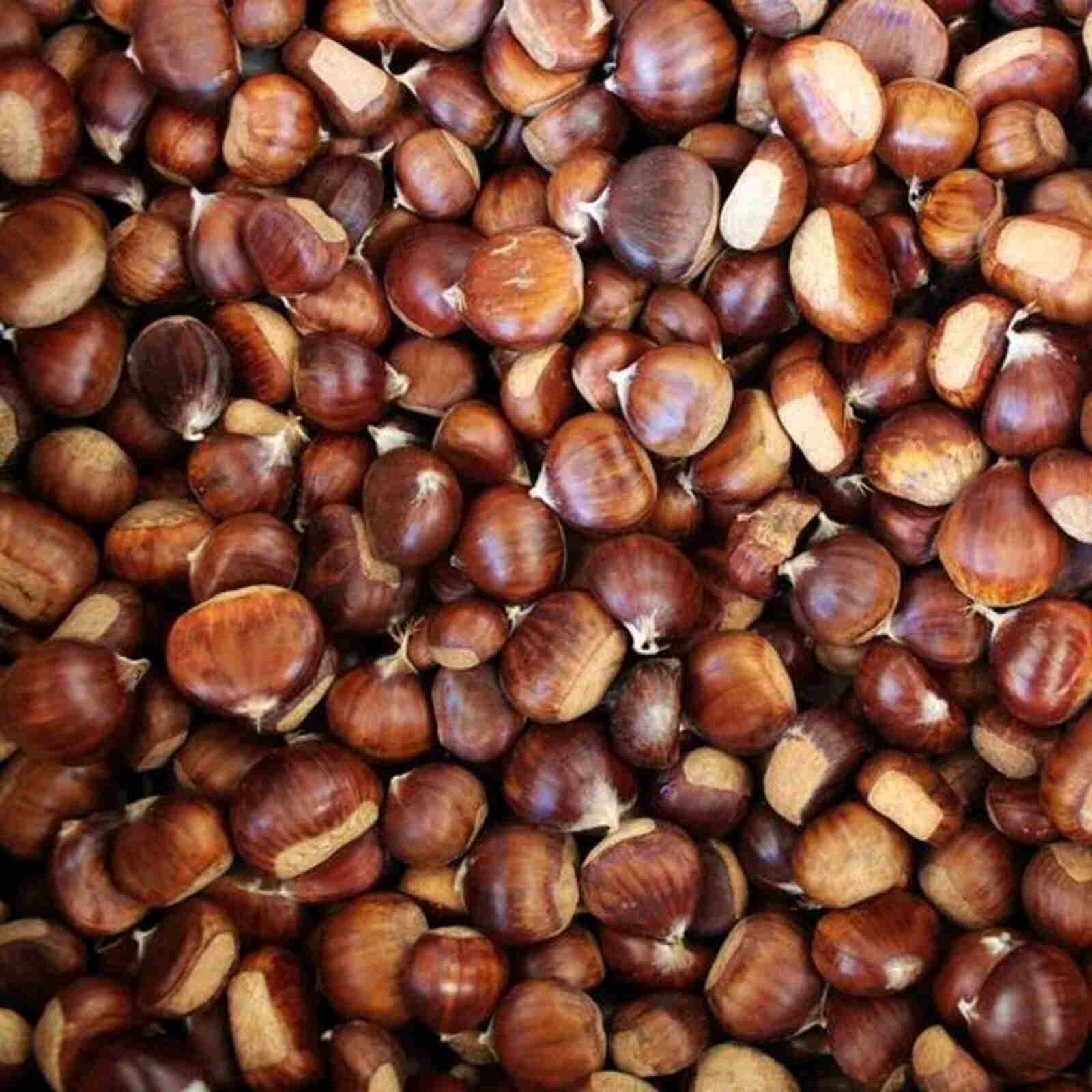 Beneficios de las castañas, el fruto estrella del otoño, y cómo ...