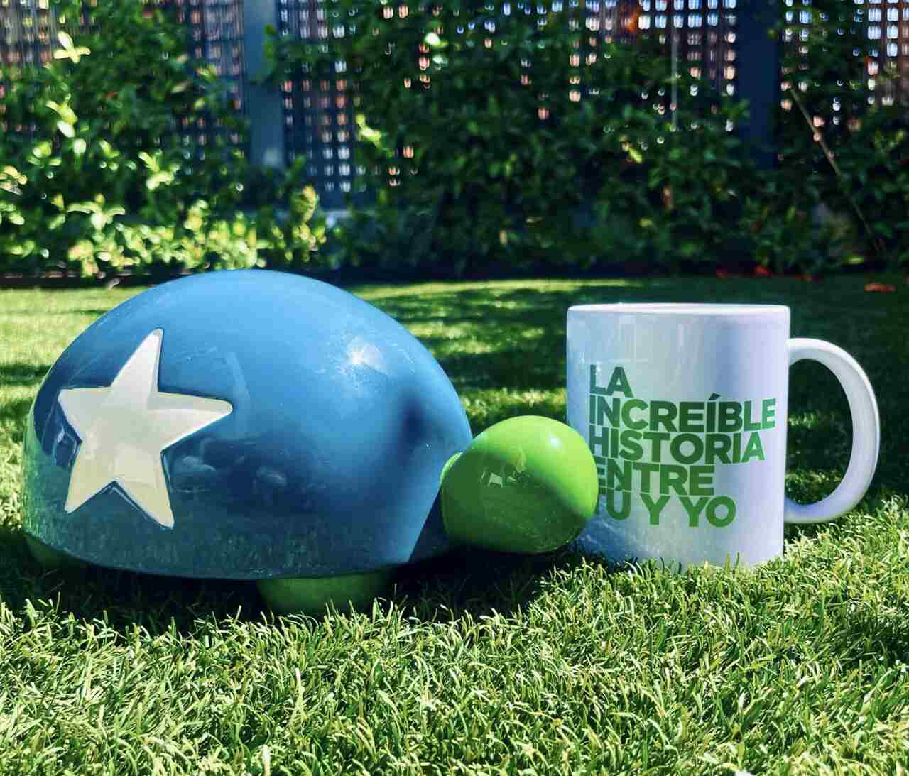 Descubrimos 'el secreto de las tortugas' con Jorge de Maldita Nerea