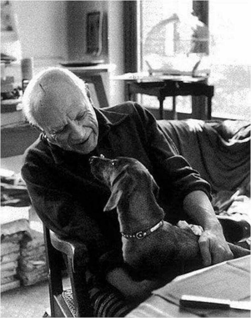 El perro de Picasso, su compañero incondicional, confidente y muso que ...
