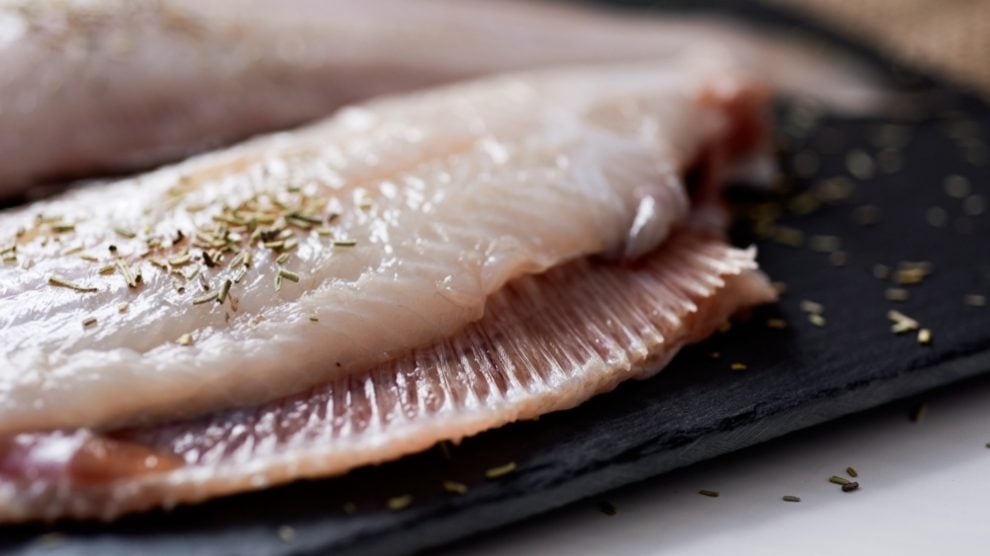 Receta de Filetes de lenguado a la crema de cítricos