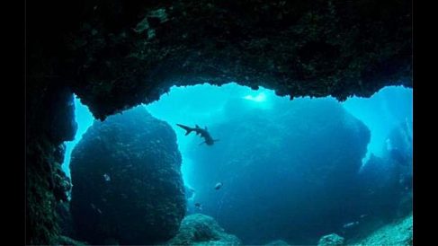 Fosas oceánicas: Descubre las 5 más profundas del planeta