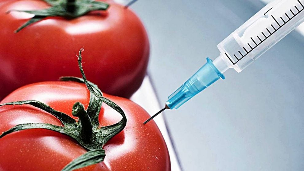 Manipulación genética: ¿En qué consiste la ingeniería genética?