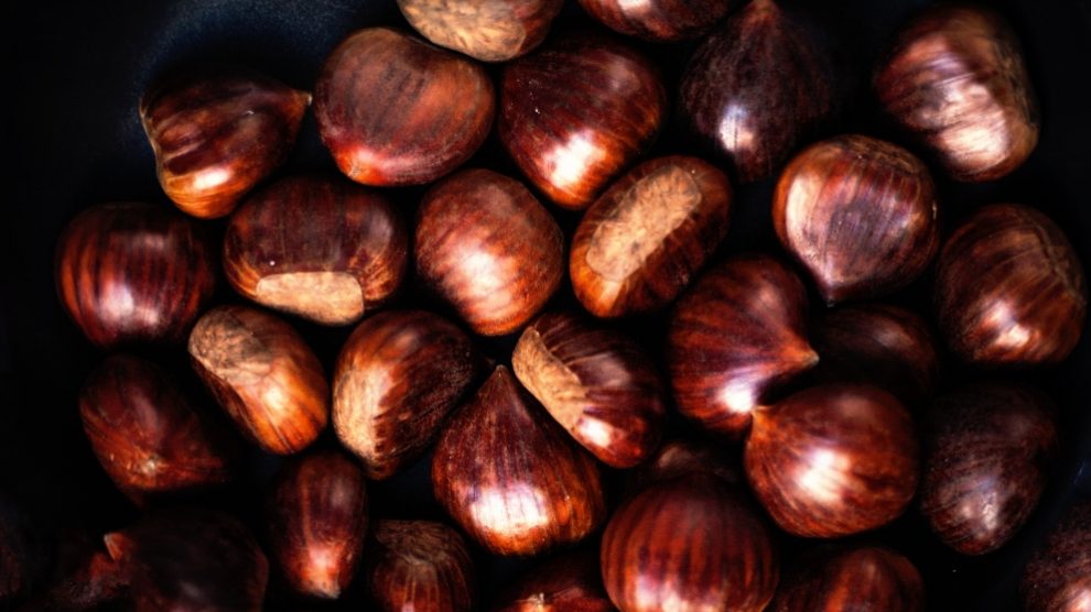 Receta de Pastel de chocolate y castañas