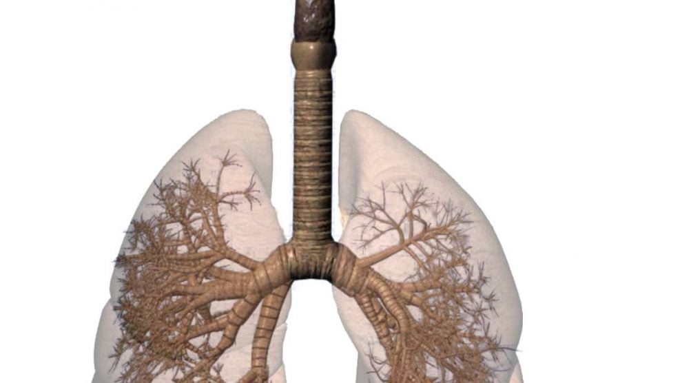 ¿Conoces los síntomas del broncoespasmo en adultos?