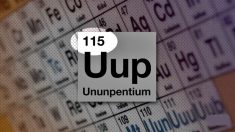 El Ununpentio a la Tabla Periódica