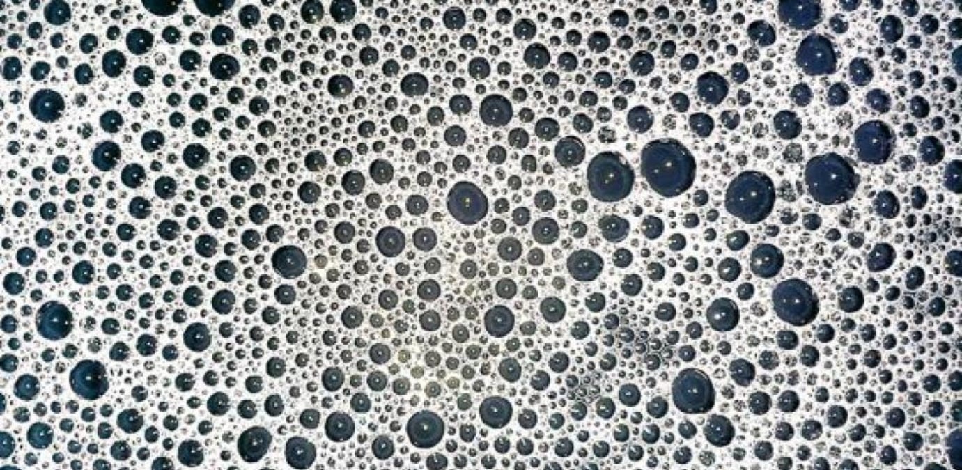 Qué es la tripofobia, cuál es su causa y cómo se puede tratar