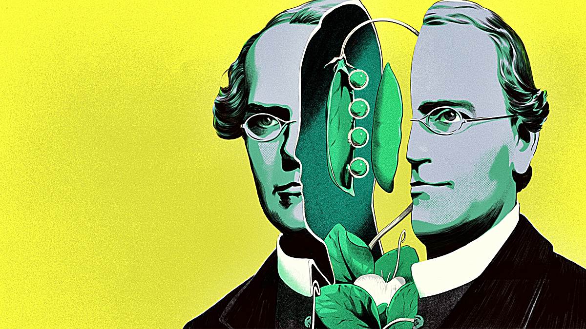 EVOLUCION DE LOS SERES VIVOS: TEORIAS DE LA EVOLUCIÓN