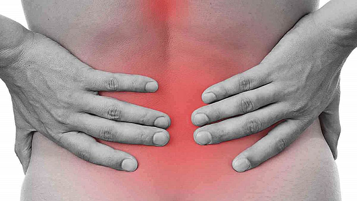 5 Partes Del Cuerpo Humano Que No Sirven Para Nada La Neta Neta