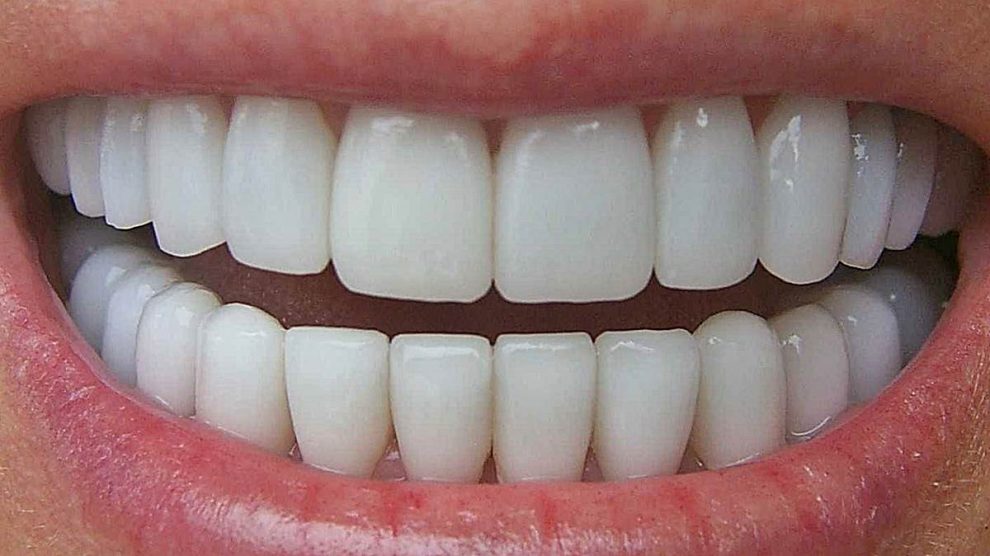 ¿Cómo funcionan los dientes?