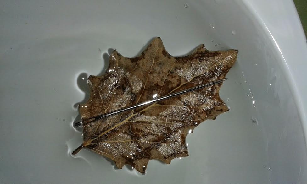Cómo crear una brújula casera de forma fácil y efectiva