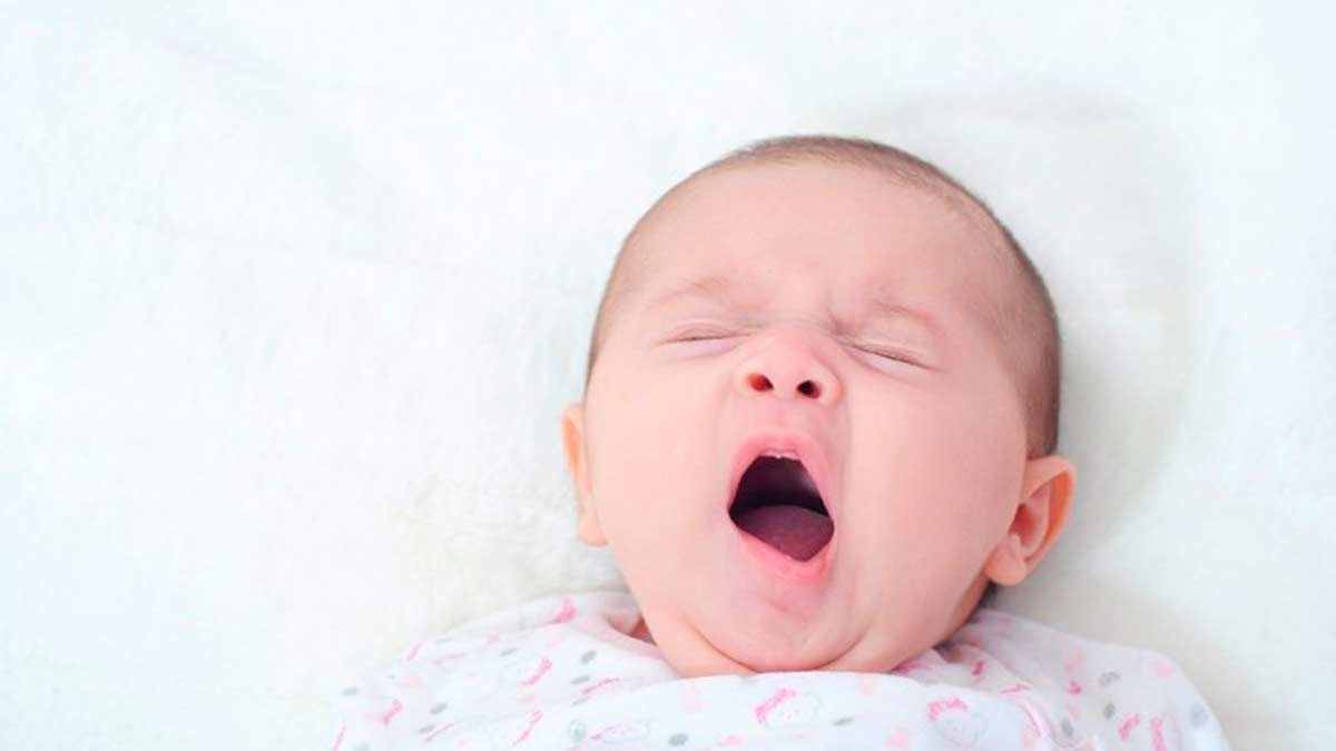 ¿Para qué sirve bostezar? Todas las hipótesis sobre el bostezo