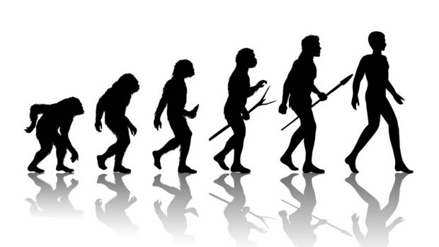 ¿A qué simios nos parecemos más?