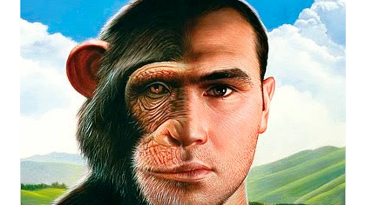 ¿A qué simios nos parecemos más?
