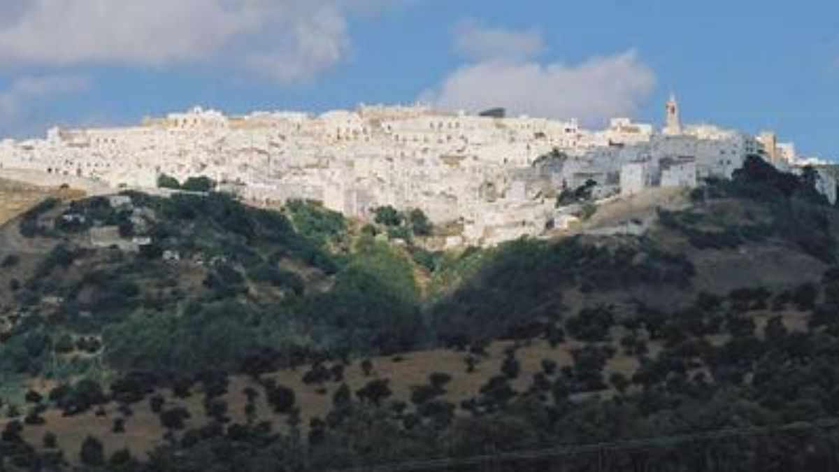 Qué ver en la Conil: Lugares, rutas, planes y dónde comer en Conil