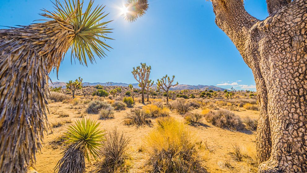 ¿Qué pasó el 26 de Marzo? Efemérides del 26 de Marzo de 2019