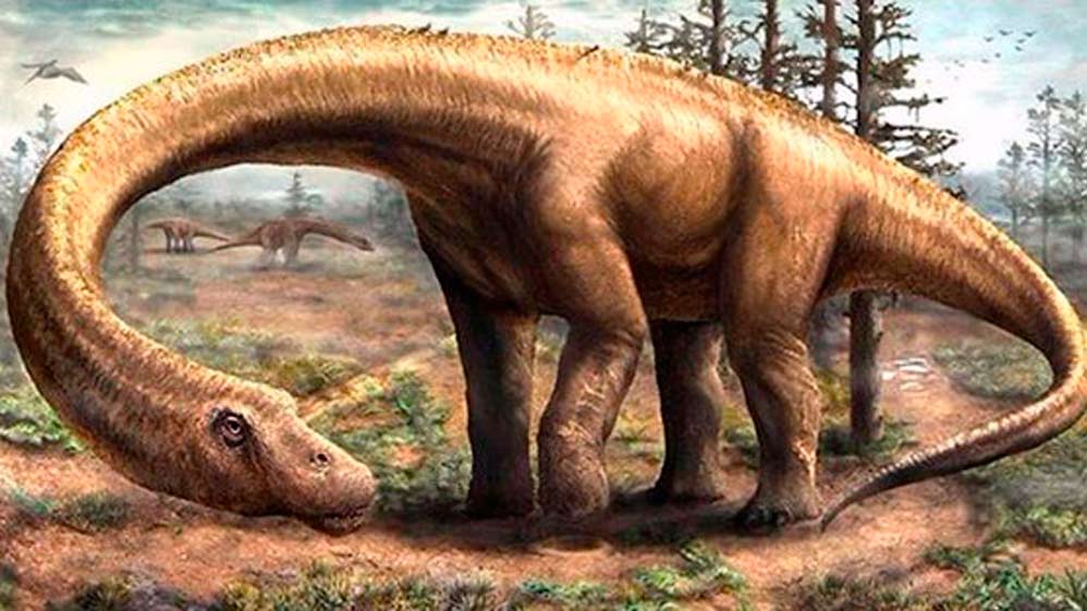 Patagotitan Mayorum El Dinosaurio M s Grande De La Historia