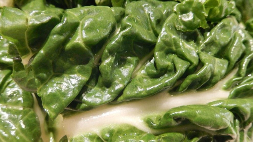 Receta de Pencas de acelgas en salsa