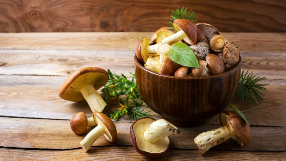 Receta de salsa boletus, una tradición con un sabor intenso