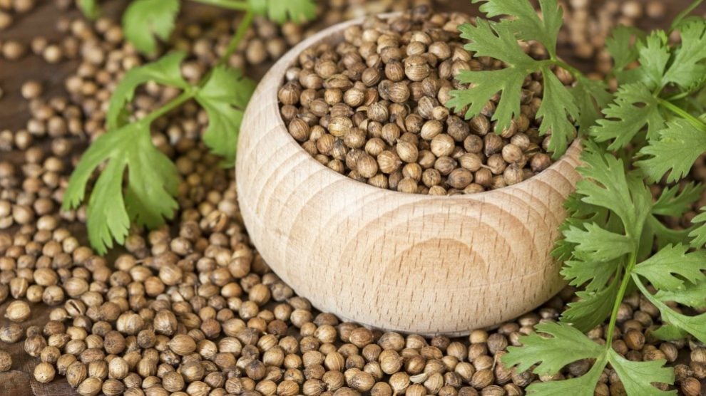 Receta de Salsa de cilantro fácil de preparar