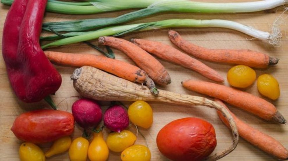 Cómo detectar comida en mal estado de diferentes formas
