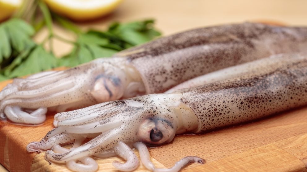 Receta de Chipirones en salsa verde fácil de preparar