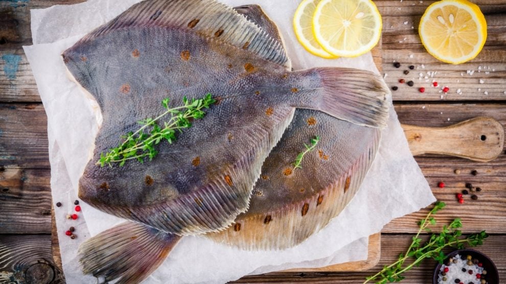 Receta de rodaballo con salsa marinera