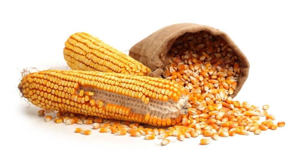 Receta de Empanada de humita Argentina fácil de preparar