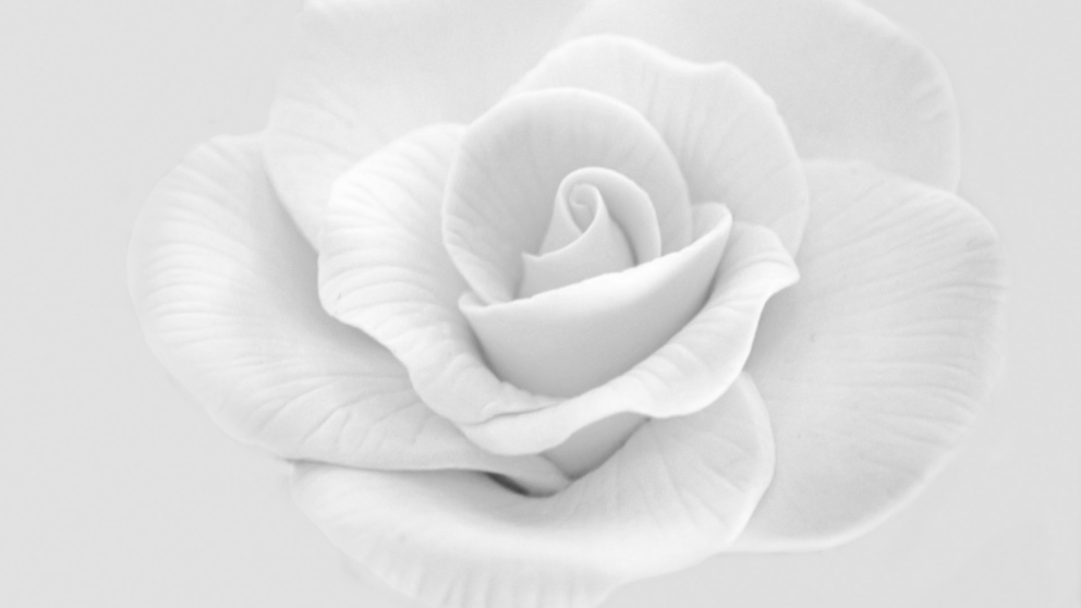 Significado Del Color Blanco Significado Del Color Blanco
