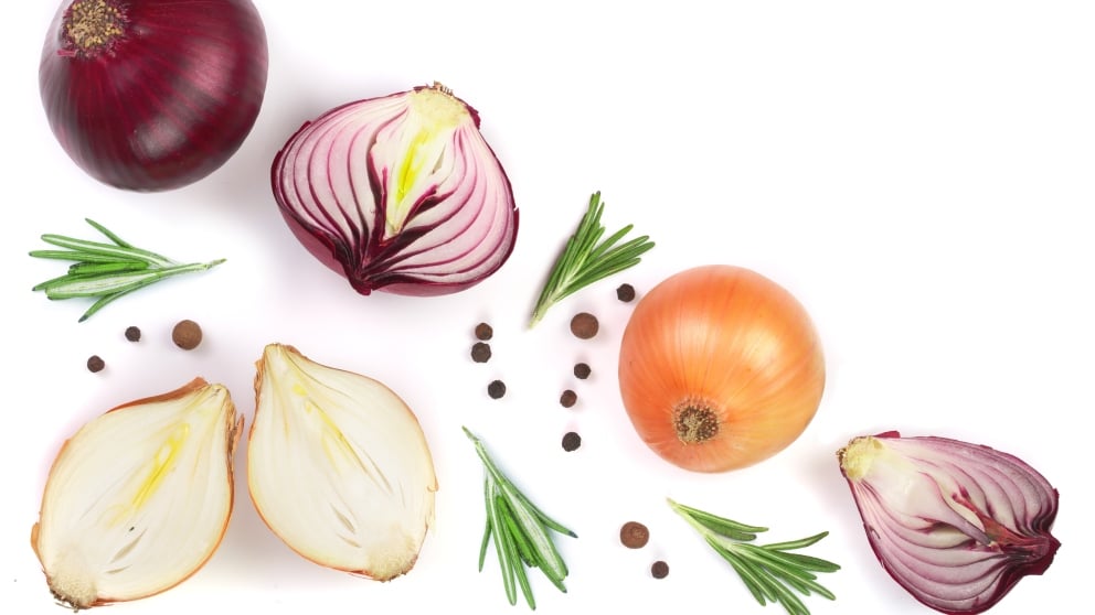 Pez machote: uno de los pescados más codiciados de todo el Cantábrico