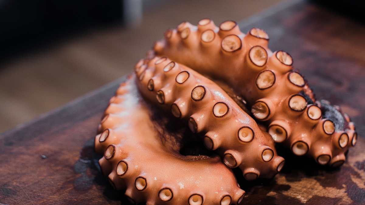 Recetas con pulpo: las 5 mejores ideas deliciosas y fáciles de preparar