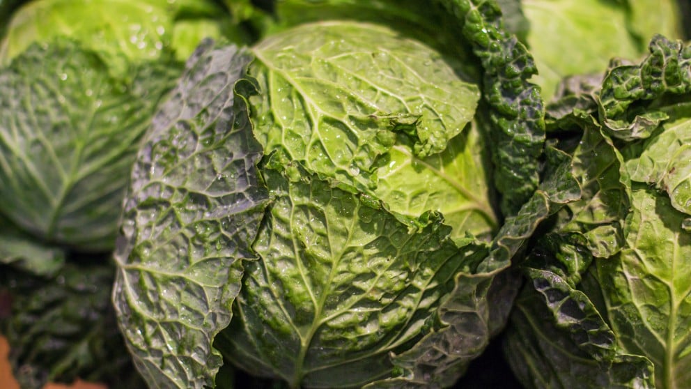 Receta de col con patatas al ajillo