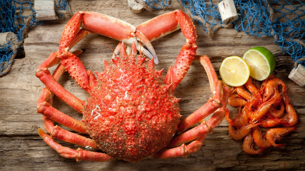 Receta de Centollo para la cena de Navidad o Nochevieja 2023